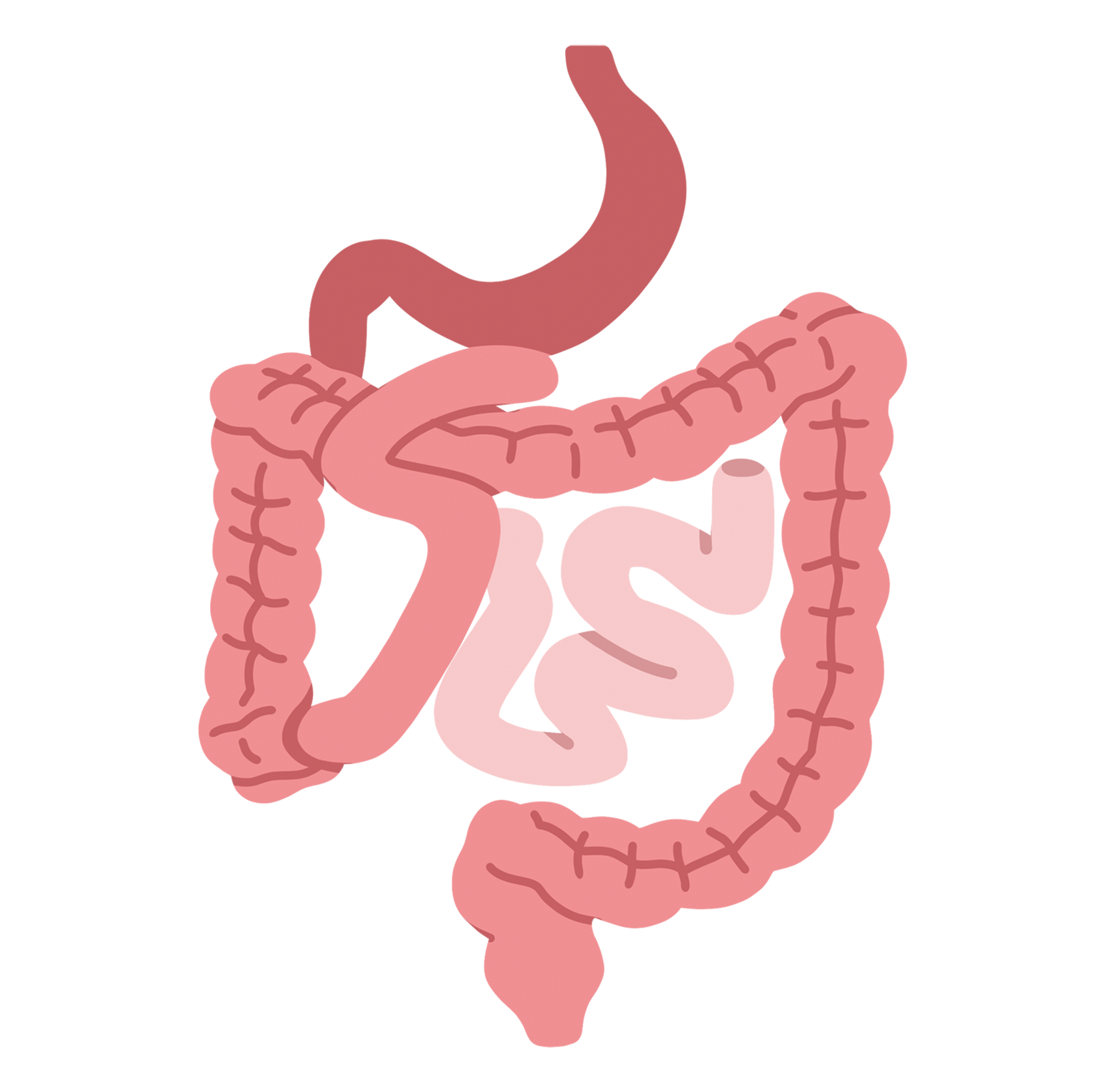 Transit Bipartition - Arpanu Bariatric